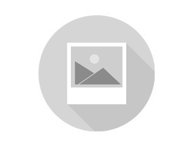 Interruptores | Productos | FMF Electric